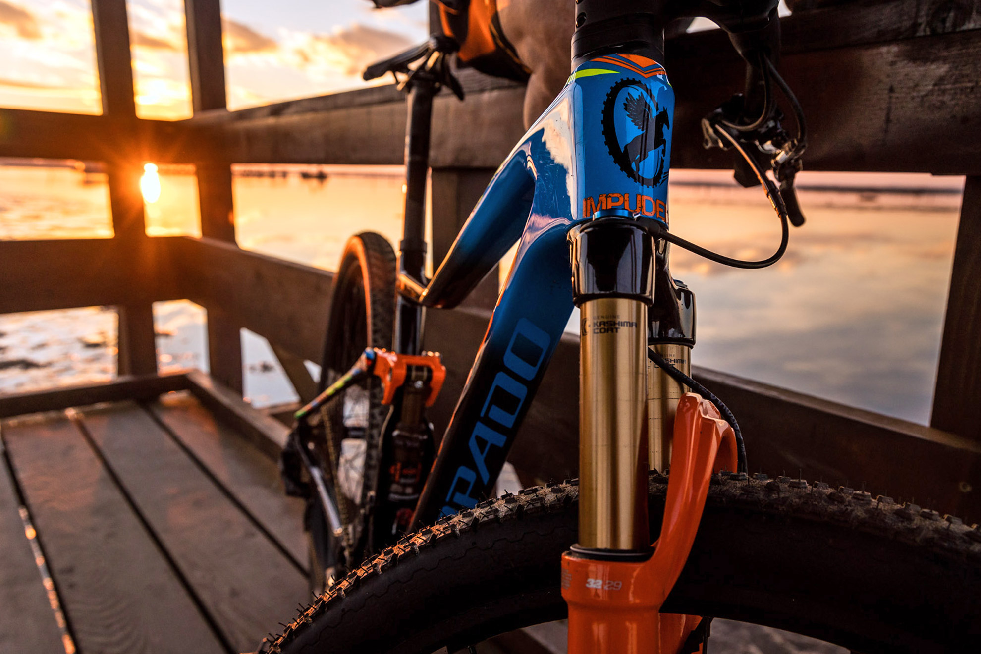 Ultime News | Torpado